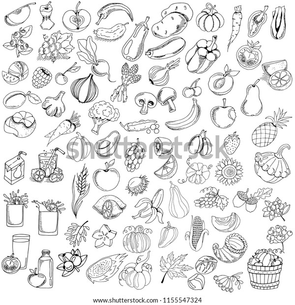Big Set Hand Drawing Autumn Harvest Stock Vector (Royalty Free ...