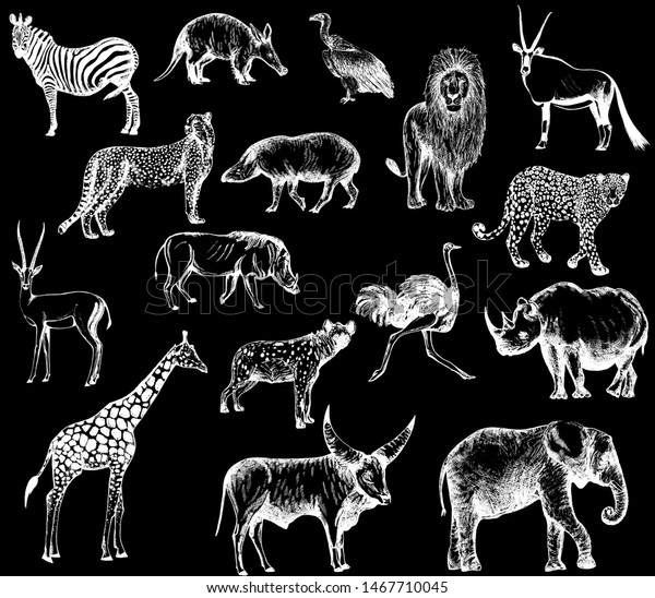 Big Set Hand Drawn Sketch Style Stock Vector (Royalty Free) 1467710045 ...