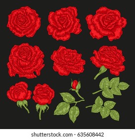 Big Set Red Rose Flowers Leaves Stock Vector (Royalty Free) 635608442 ...