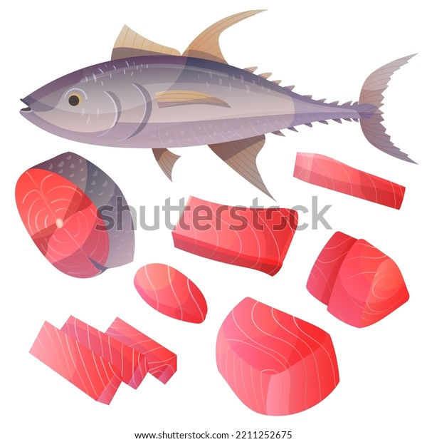Big Set Tuna Red Fish Cut Stock Vector (Royalty Free) 2211252675 ...