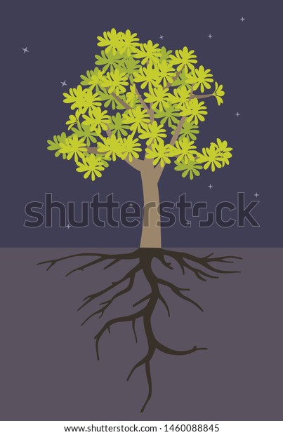 Big Tree Night Stars Stock Vector (Royalty Free) 1460088845 | Shutterstock