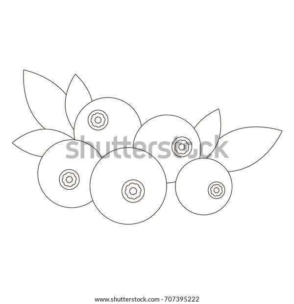 Bilberry Cartoon Outlined Illustration Thin Line Stock Vector (Royalty ...