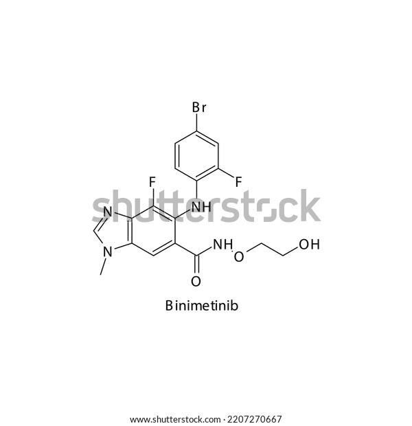 Binimetinib Molecule Flat Skeletal Structure Tyrosine: เวกเตอร์สต็อก ...
