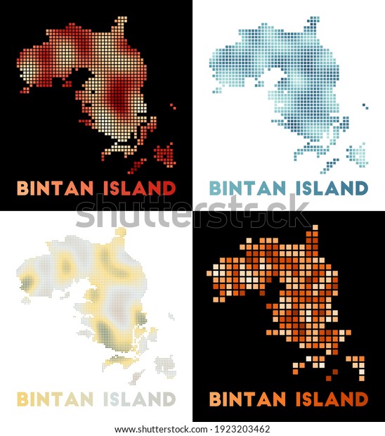 Bintan Island Map Collection Map Bintan Stock Vector (Royalty Free ...