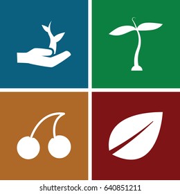 Bio Icons Set Set 4 Bio Stock Vector (Royalty Free) 640851211 ...