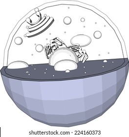 Biological Cell Structure Vector Stock Vector (Royalty Free) 224160373 ...