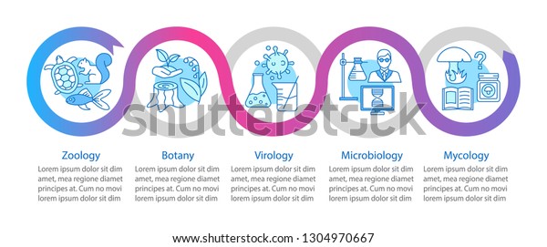 Biology Divisions Vector Infographic Template Zoology Stock Vector ...