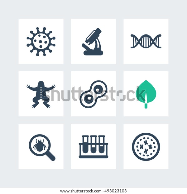 Biology Icons Set Cell Microscope Testtubes Stock Vector (Royalty Free ...