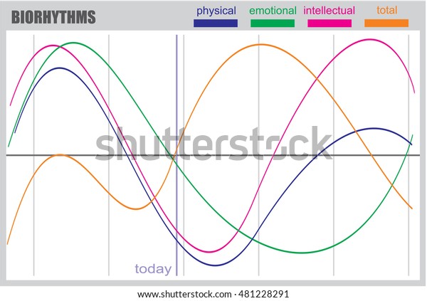 Biorhythms Vector Flow Chart Infographics Element Stock Vector (Royalty ...