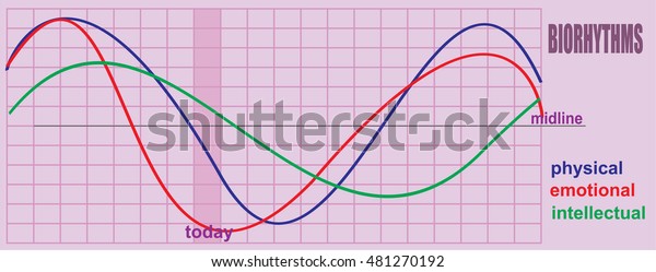 Biorhythms Vector Flow Chart Infographics Element Stock Vector (Royalty ...