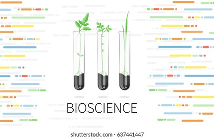 Bioscience Vector Concept Laboratory Glassware Soil Stock Vector ...
