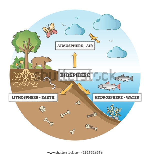 La división de la biosfera con: vector de stock (libre de regalías ...