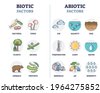 8+ Thousand Biotic Royalty-Free Images, Stock Photos & Pictures ...