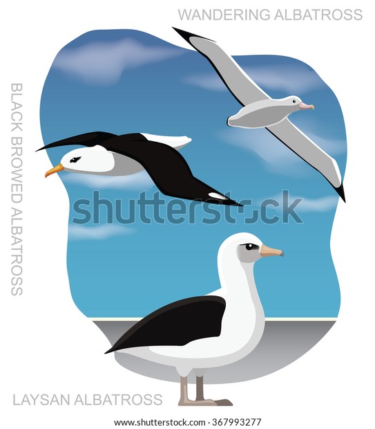 Bird Albatross Set Cartoon Vector Illustration Stock Vector (Royalty ...
