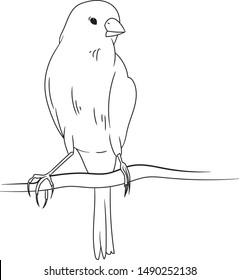 Bird Canary Simple Draw Front View Stock Vector (Royalty Free ...