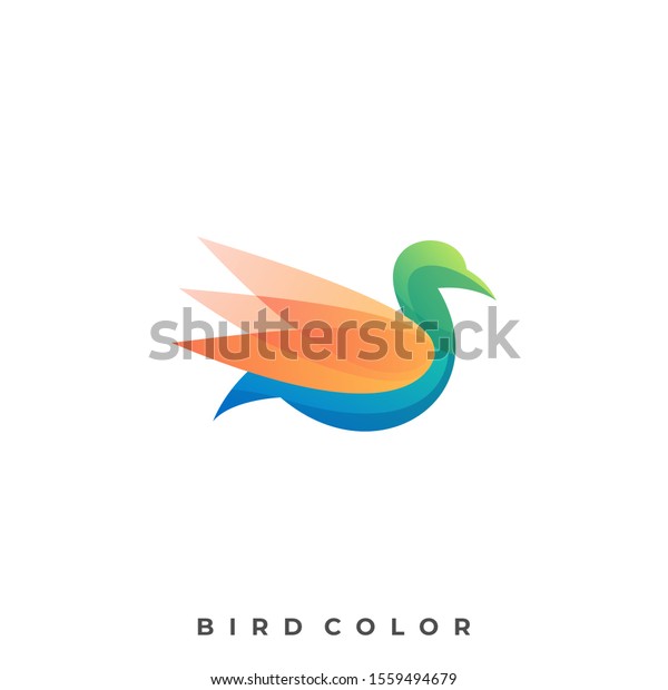Bird Colorful Illustration Vector Template Suitable Stock Vector ...