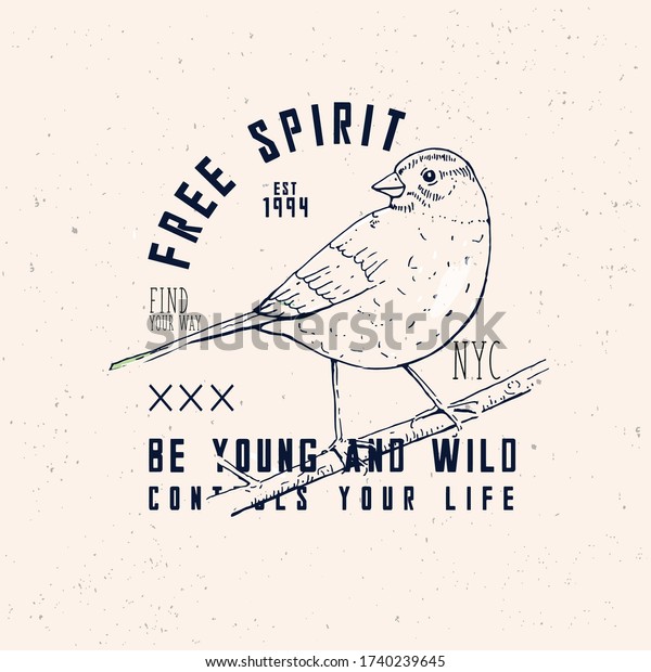 Bird Drawing Slogan Tshirt Graphics Other Stock Vector (Royalty Free ...