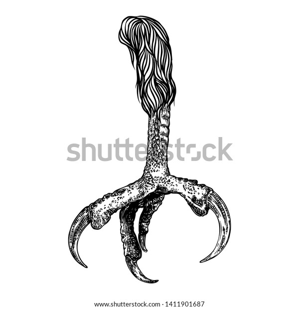 Bird Eagle Feet Stylized Drawing Decorative: เวกเตอร์สต็อก (ปลอดค่า ...
