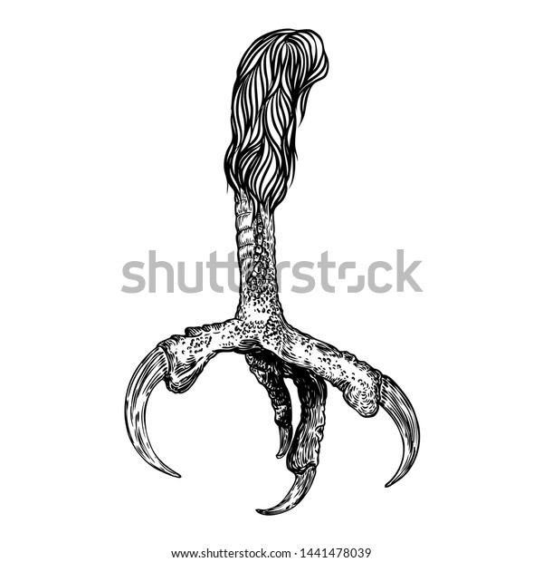 Bird Eagle Feet Stylized Drawing Decorative Stock Vector (Royalty Free ...