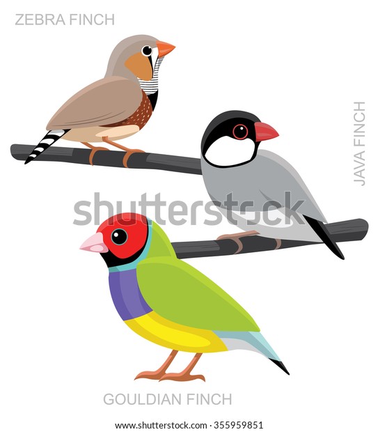 Bird Finch Set Cartoon Vector Illustration Stock Vector (Royalty Free ...