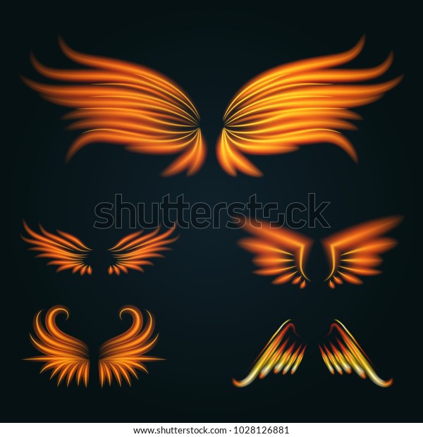 Bird Fire Wings Vector Fantasy Feather Stock Vector (Royalty Free ...
