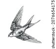 17,182 Swift Bird Royalty-Free Images, Stock Photos & Pictures ...