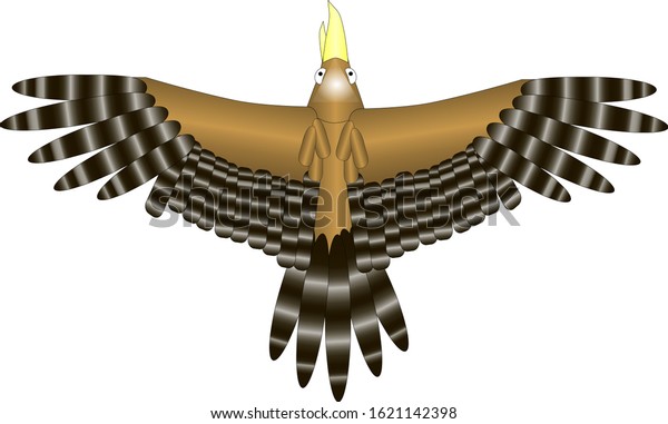 Bird Hawk Top View On White Stock Vector (Royalty Free) 1621142398 ...