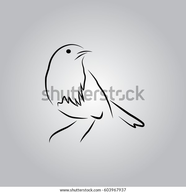 Bird Line Vector Design Stock Vector (Royalty Free) 603967937 ...