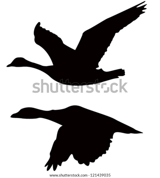 Bird Silhouette Stock Vector (Royalty Free) 121439035 | Shutterstock