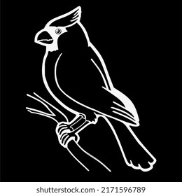 Bird Sketch Black Background Stock Vector (Royalty Free) 2171596789 ...