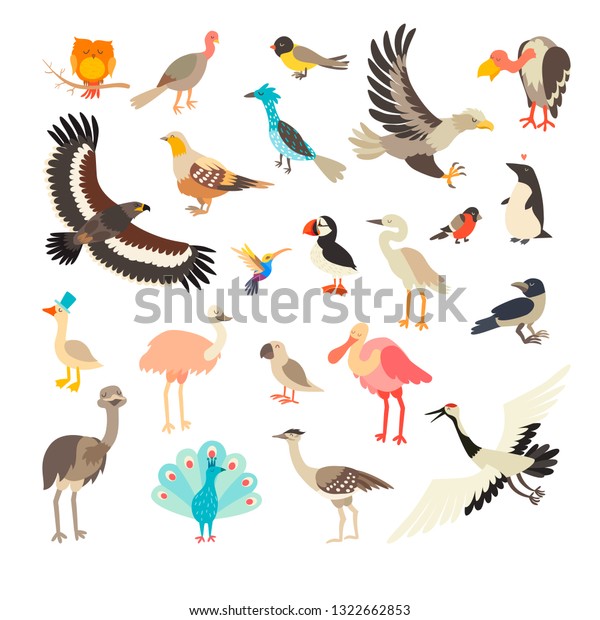 Birds Collection Vector Set Cartoon Bird Stock Vector (Royalty Free ...