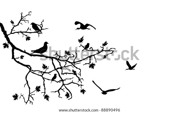 Birds On Tree Branch Stock Vector (Royalty Free) 88890496