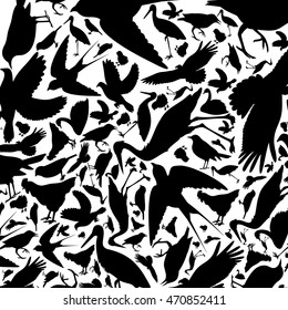 Birds Scattervector Illustration Stock Vector (Royalty Free) 470852411 ...