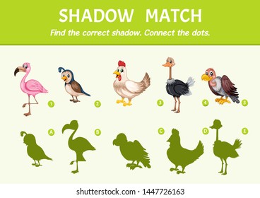 Birds Set Find Correct Shadow Shadow Stock Vector (Royalty Free ...