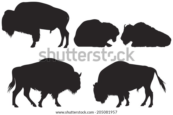 Bison Group Vector Silhouettes American Bison Stock Vector (Royalty ...