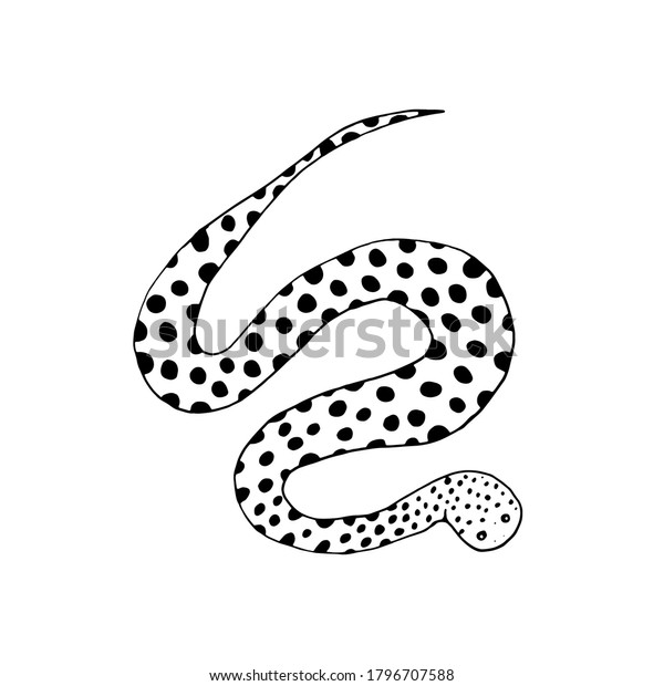 Bitis Snake Vector Illustration Black White Stock Vector (Royalty Free ...