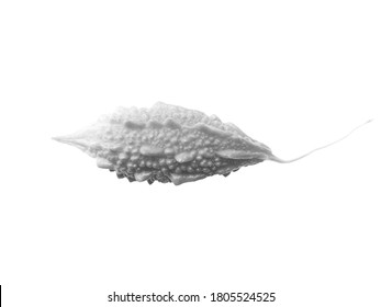 Bitter Gourd Black Outline Vector Stock Vector (Royalty Free) 1805524525
