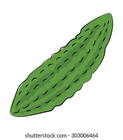 745 Bitter gourd vector Images, Stock Photos & Vectors | Shutterstock