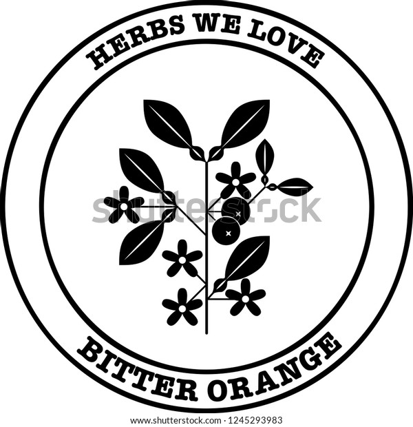 Bitter Orange Pixel Perfect Logo Design Stock Vector (Royalty Free ...