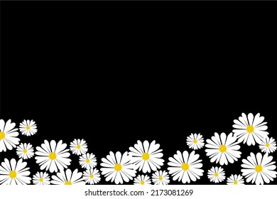Black Background Daisy Flower Decoration Stock Vector (Royalty Free ...
