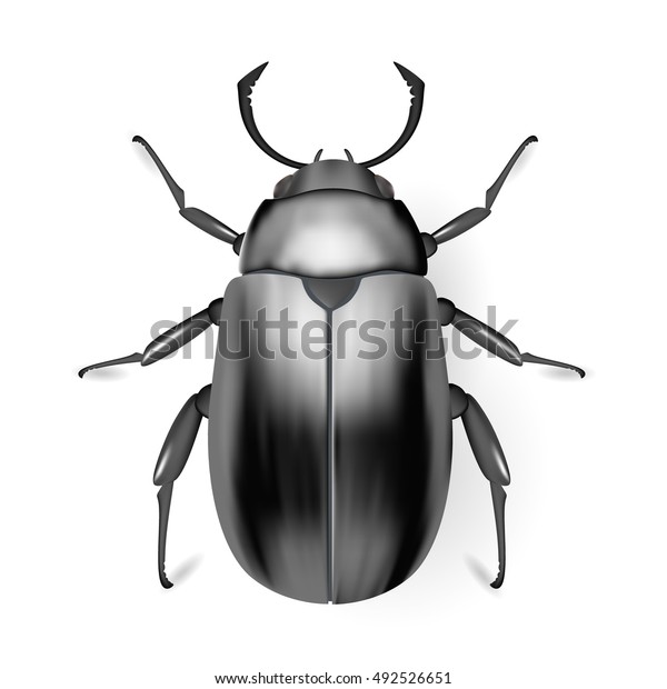 Black Beetle Insect Icon Pads Vector Stock Vector (Royalty Free) 492526651
