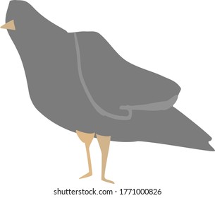 Black Bird Isolated Animal Vector Stock Vector (Royalty Free ...