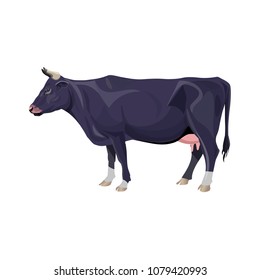 Black Cow Standing Side View Vector Stock Vector (Royalty Free ...