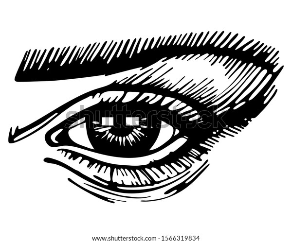 Black Eye On Transparent Background Stylized Stock Vector (Royalty Free ...