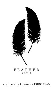 Black Feather Vector Design Graphic Drawing Stock Vector (Royalty Free ...