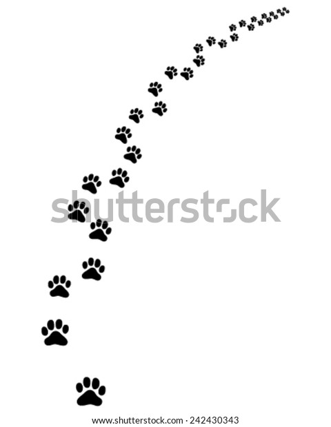Black Footprints Cat Turn Right Vector Stock Vector (Royalty Free ...