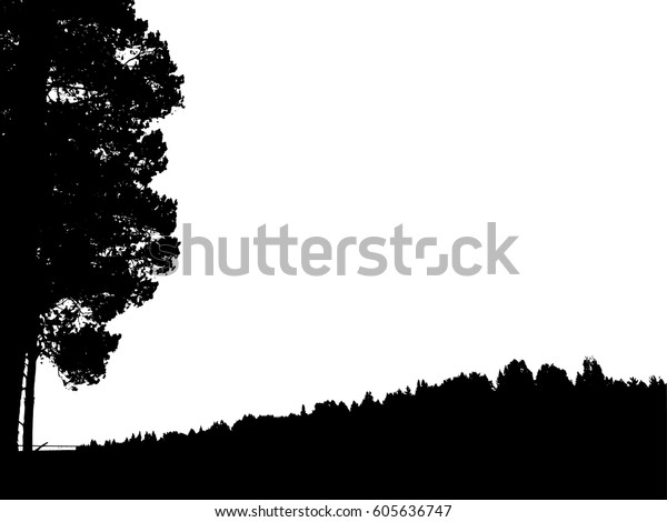 Black Forest Silhouette Isolated On White Stock Vector (Royalty Free ...