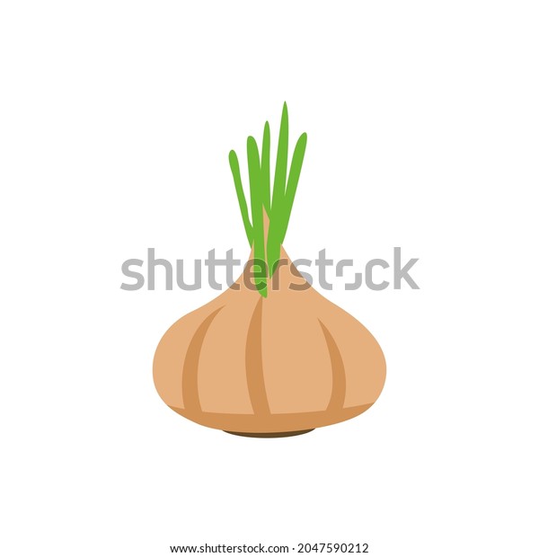 Black Garlic Vector Illustration Isolated On Stock Vector (Royalty Free ...