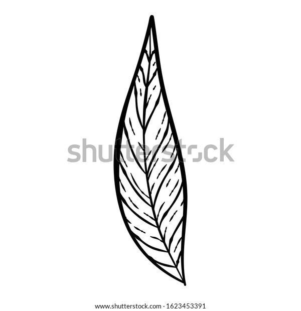 Black Hand Drawn Thin Line Cute Stock Vector (Royalty Free) 1623453391 ...