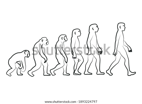 Black Icon Human Evolution: เวกเตอร์สต็อก (ปลอดค่าลิขสิทธิ์) 1893224797 ...
